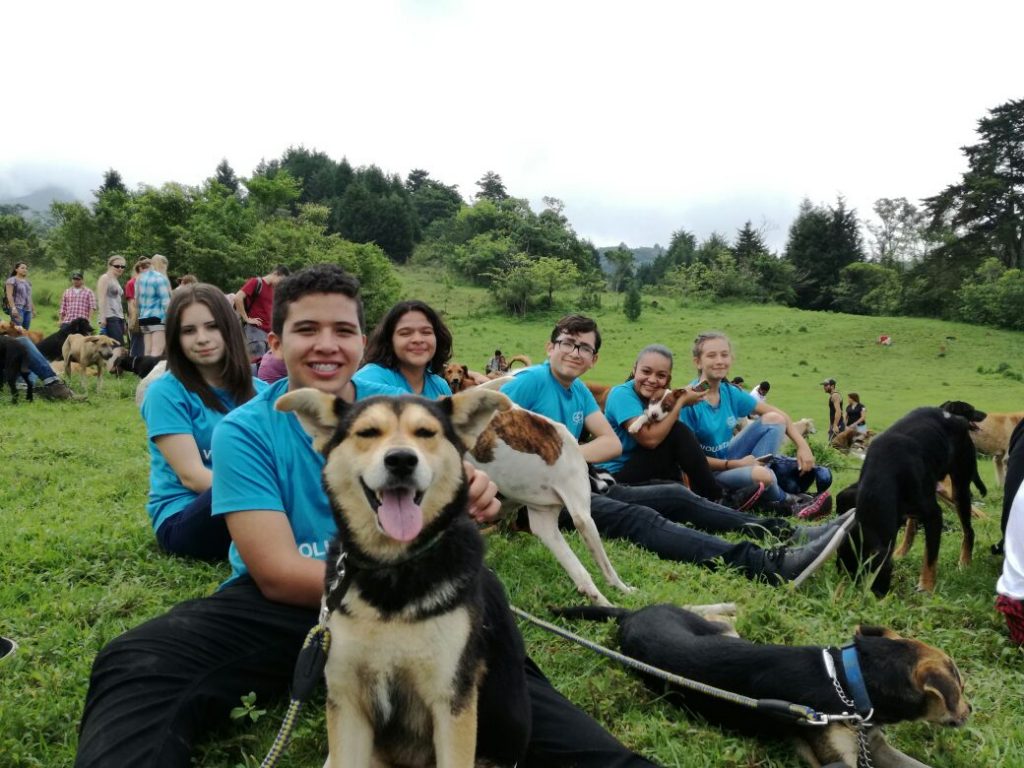 Visit to the 'Territorio de Zagüates' dog shelter (Carthage, Costa Rica ...