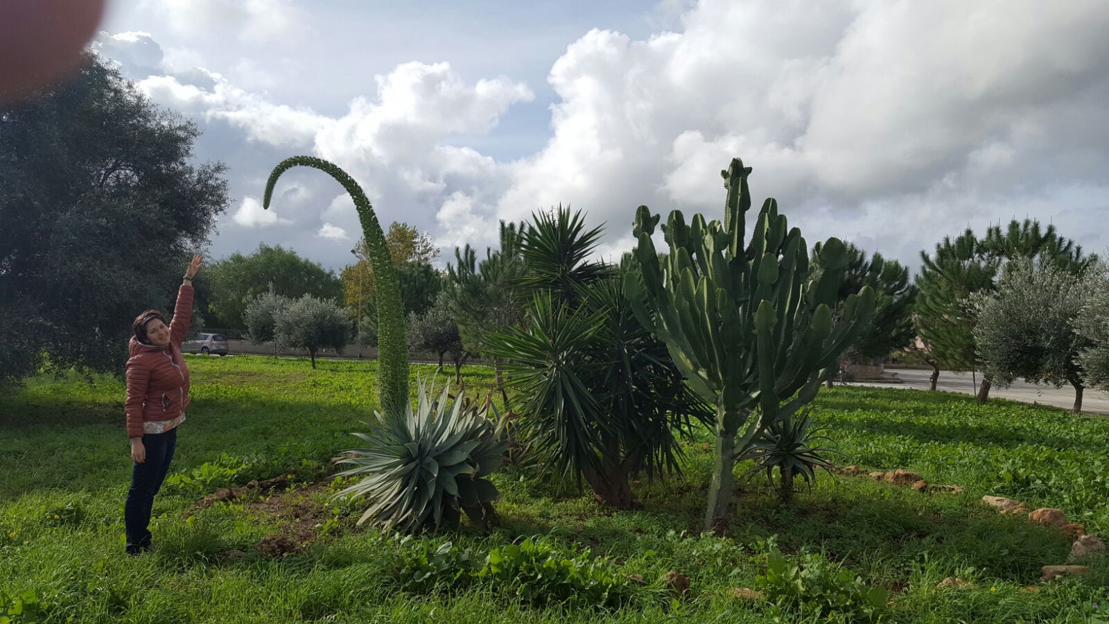 Inauguration of the park dedicated to "Sandro Spagnoli" in Floridia ...