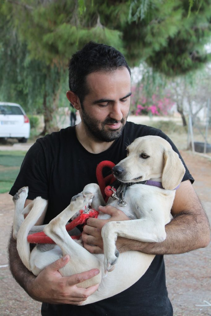 Volunteering Action in Nicosia Dog Shelter (Nicosia, Cyprus ...