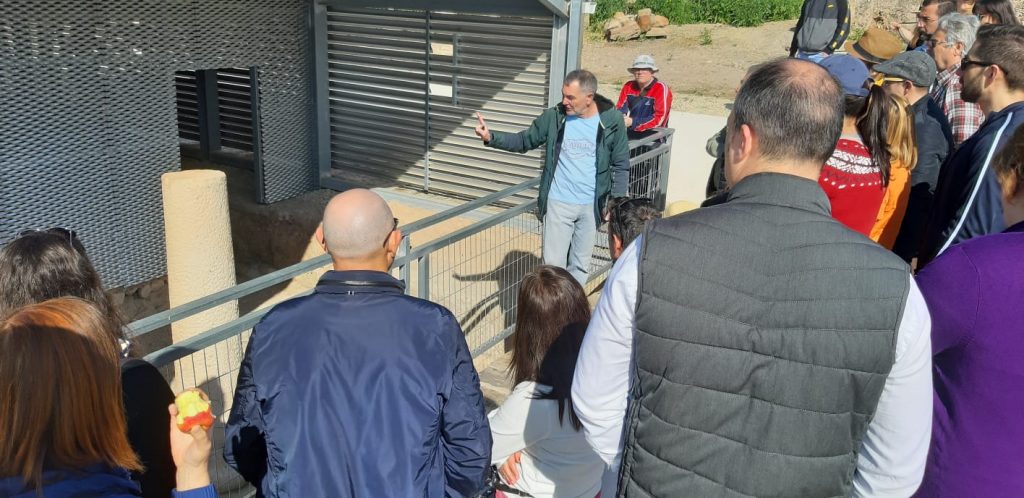 Guided tour of Cástulo and the Linares Museum (Jaén, Spain) - Acropolis ...