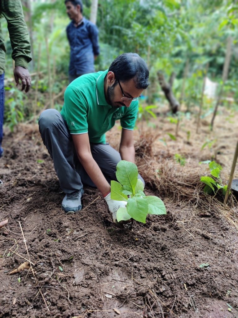 Sapling Plantation using Miyawaki technique (Mumbai, India) - Acropolis News