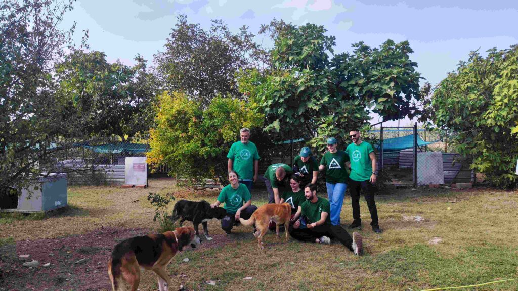 Actions in animal shelters (Athens-Thessaloniki-Heraklion, Greece ...