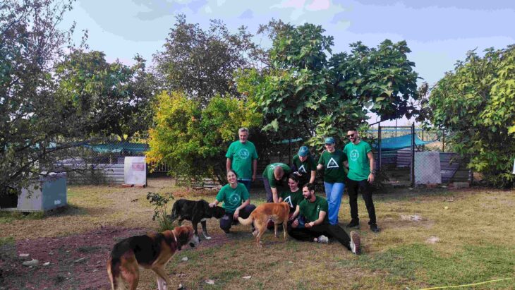 Actions in animal shelters (Athens-Thessaloniki-Heraklion, Greece ...